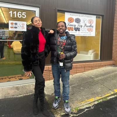 The Fancy Toy Poodle Store