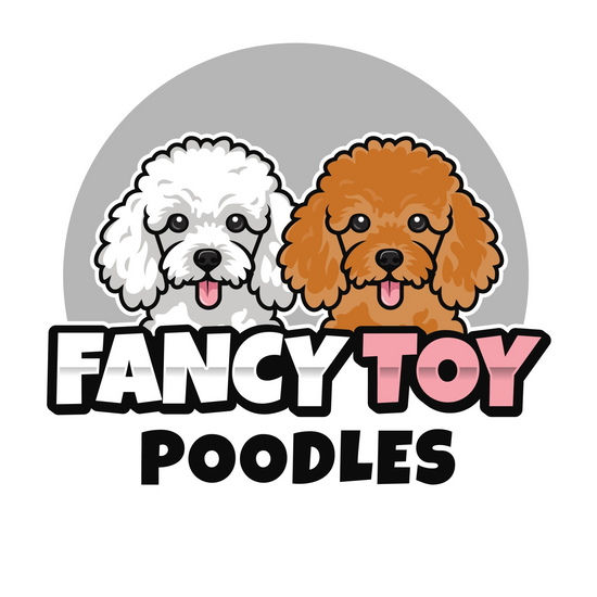 About Us – The Fancy Toy Poodle Store