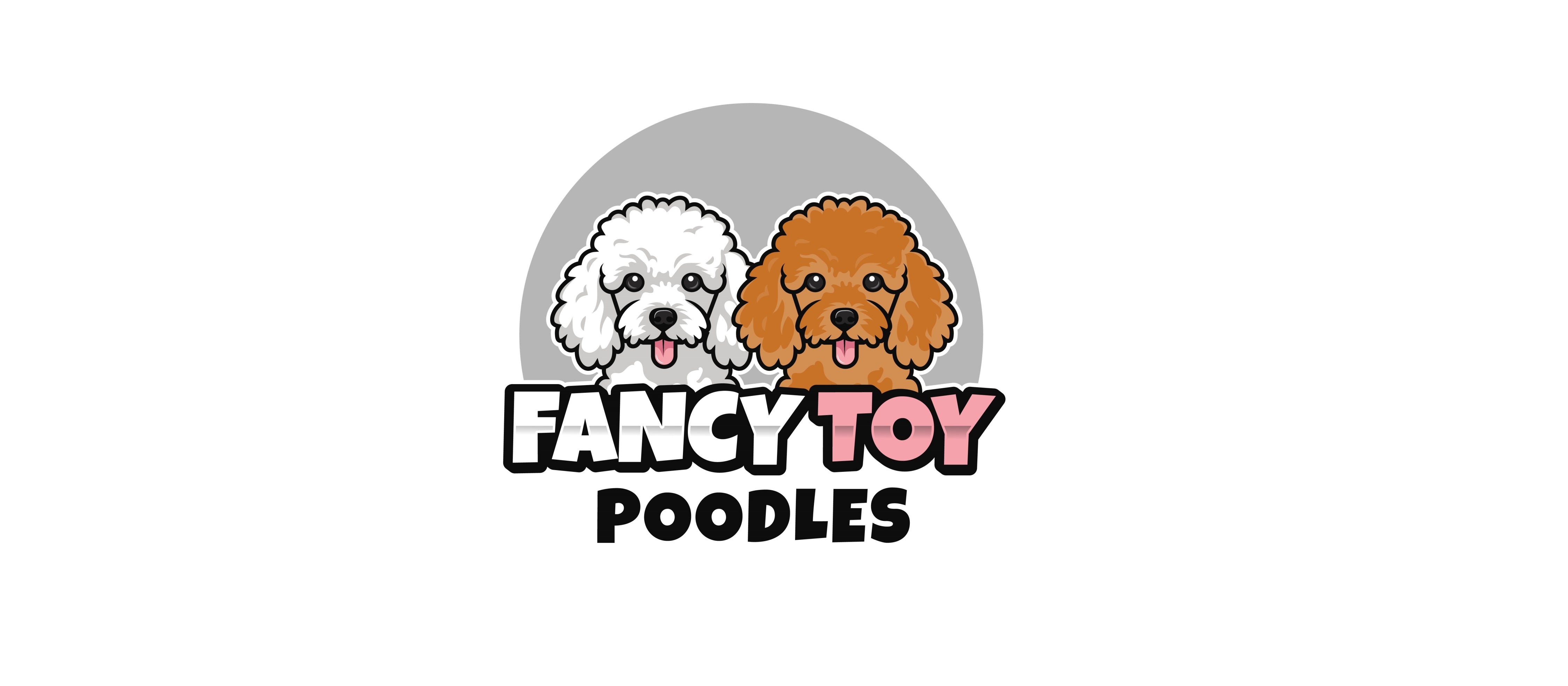 Fancy Toy Poodles | Mini, Toy & Teacup Poodle Puppies – The Fancy Toy ...